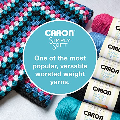 Caron Simply Soft Sage Yarn - 3 Pack of 170g/6oz - Acrylic - 4 Medium (Worsted) - 315 Yards - Knitting/Crochet