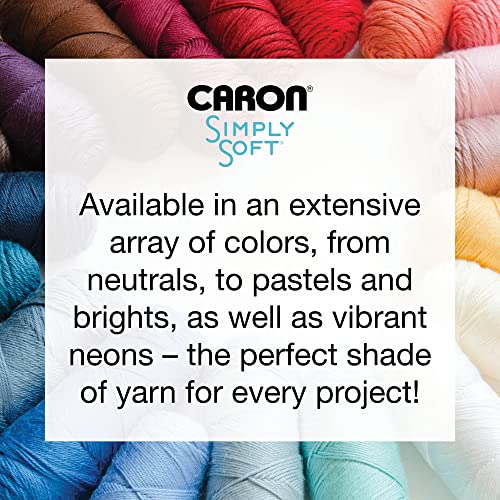 Caron Simply Soft Sage Yarn - 3 Pack of 170g/6oz - Acrylic - 4 Medium (Worsted) - 315 Yards - Knitting/Crochet