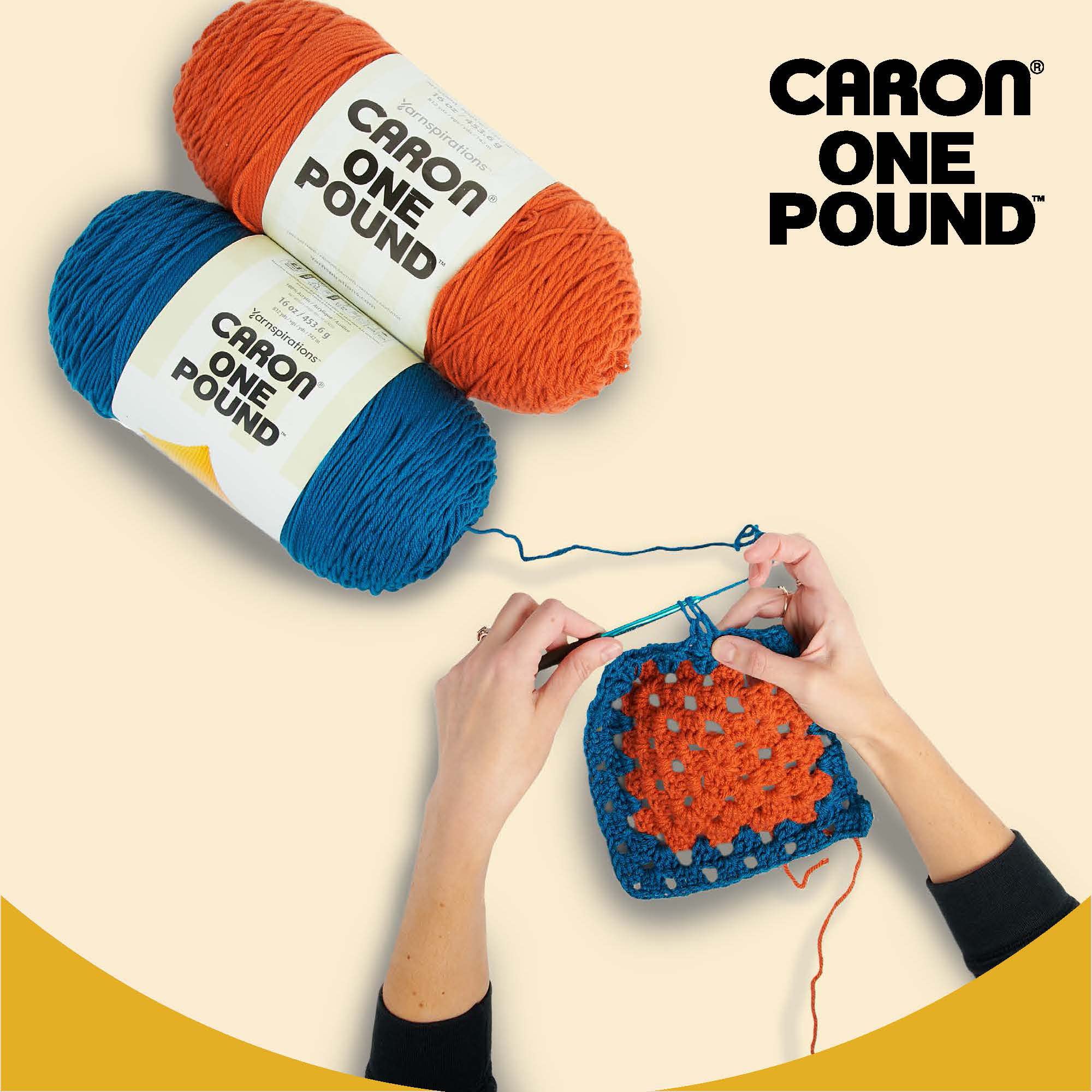 Caron One Pound Black Yarn - 2 Pack of 454g/16oz - Acrylic - 4 Medium (Worsted) - 812 Yards - Knitting/Crochet