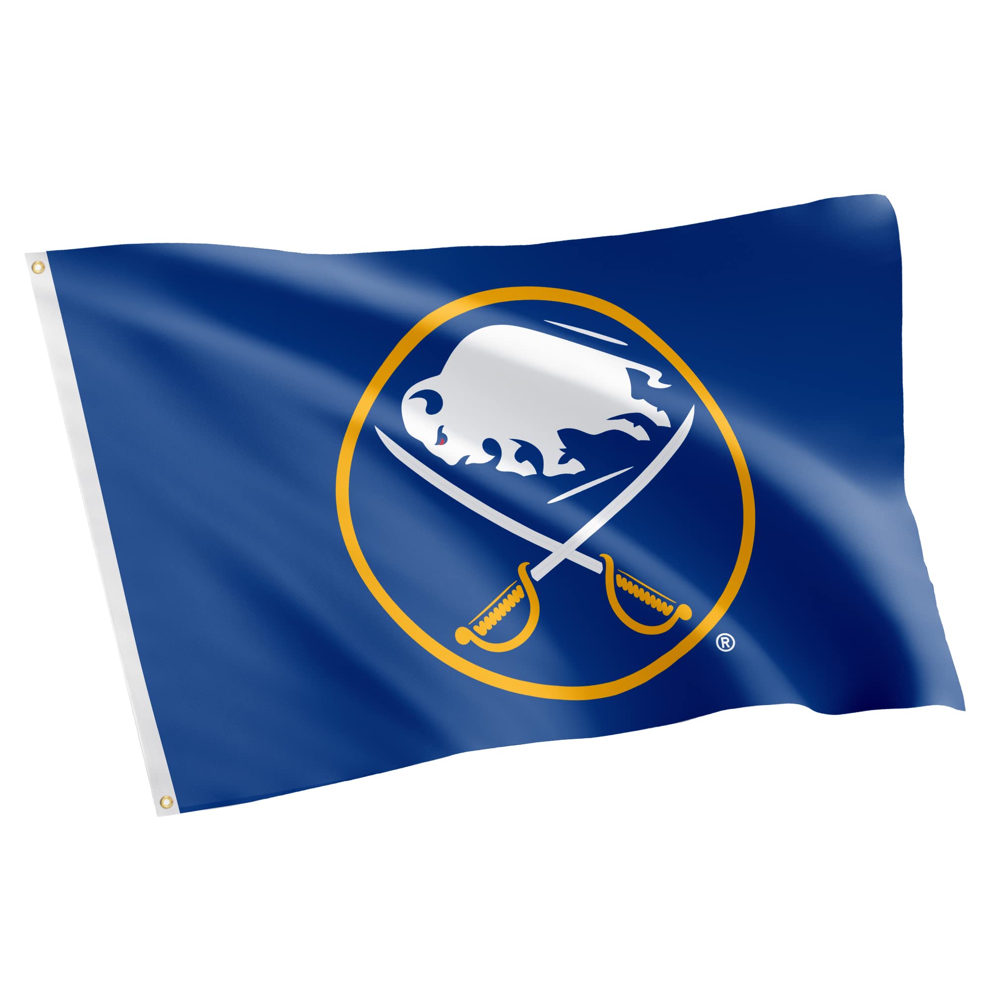 Desert Cactus Buffalo Sabres Flag NHL 100% Polyester Indoor Outdoor 3x5 feet National Hockey League Team Flags (Design #1)