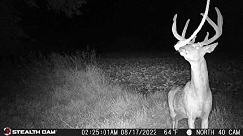 Stealth Cam GMAX32 NO GLO Vision 32MP Photo & 1080P Video at 30FPS 42-940nm LEDs 0.4 Sec Trigger Speed 100Ft Detection & IR Range Hunting Trail Camera
