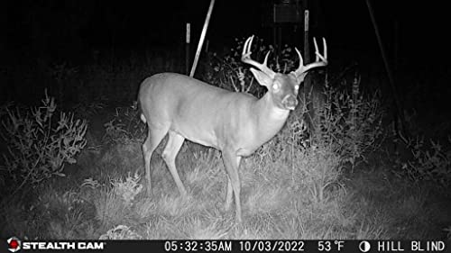 Stealth Cam GMAX32 NO GLO Vision 32MP Photo & 1080P Video at 30FPS 42-940nm LEDs 0.4 Sec Trigger Speed 100Ft Detection & IR Range Hunting Trail Camera