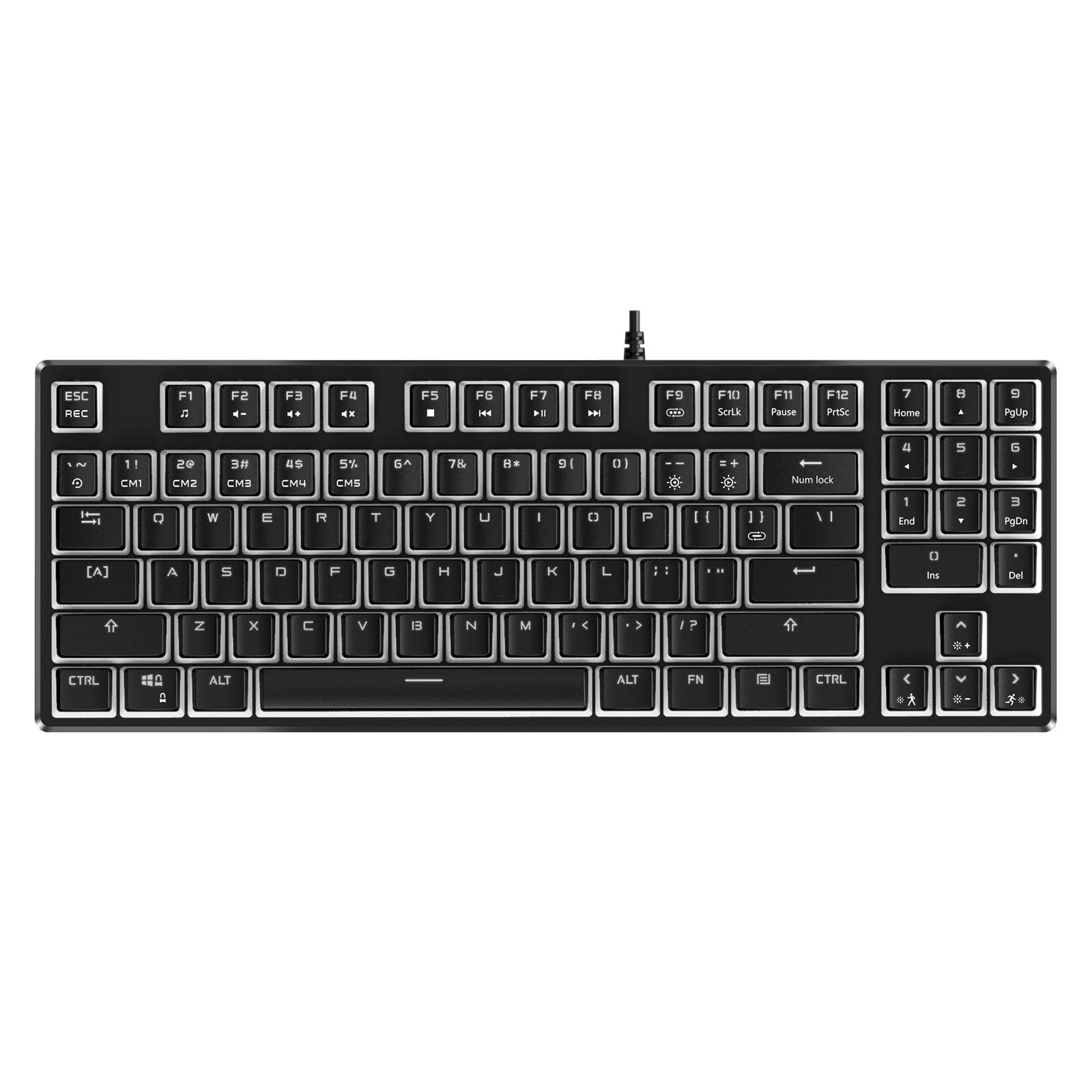 havit Mechanical Gaming Keyboard with RGB Lighting, PBT Pudding Keycaps Tenkeyless TKL Wired Mechanical Keyboard Blue Switches for Windows PC/MAC Games