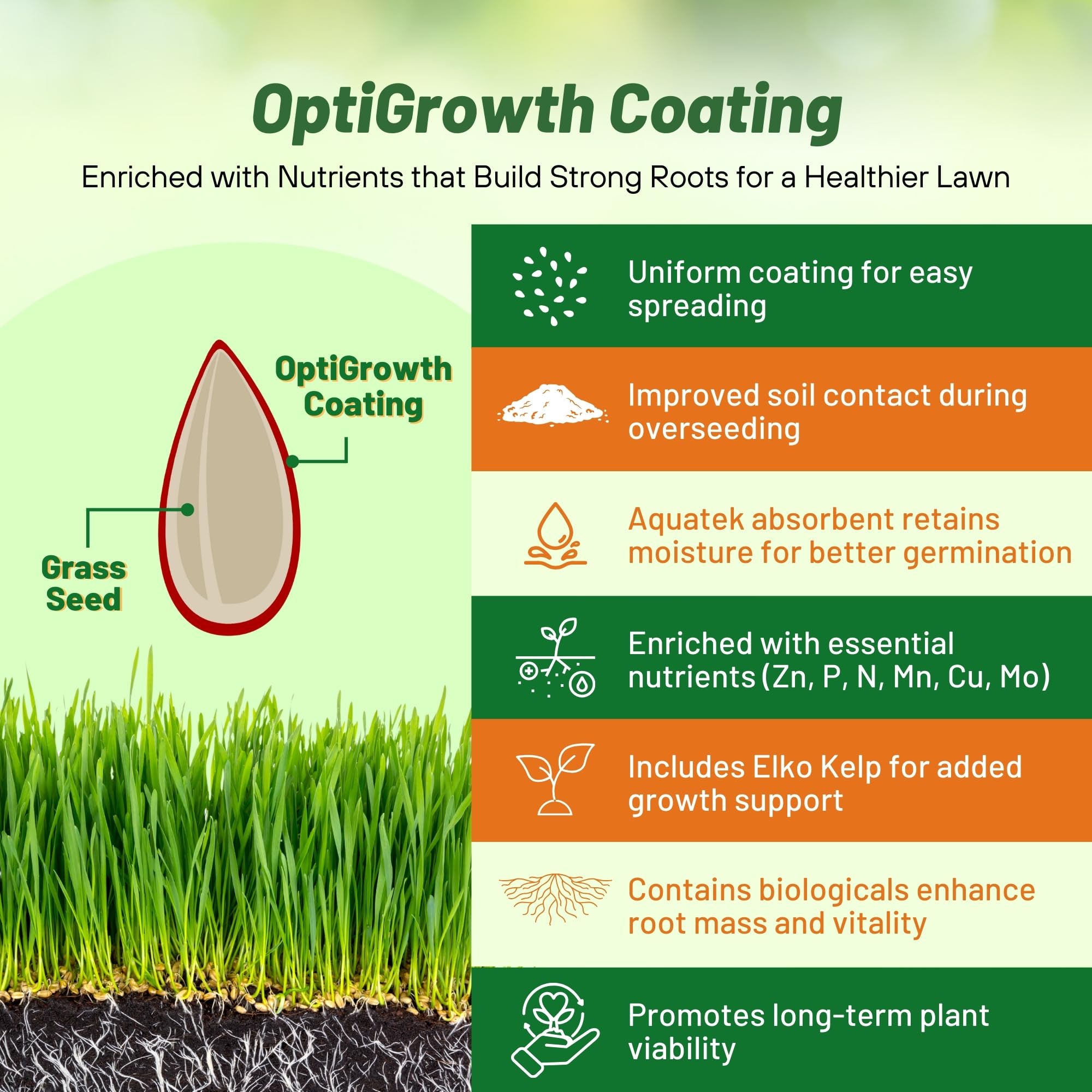 Outsidepride SPF-30 Hybrid Bluegrass Seeds - 5 lbs. Heat & Drought Tolerant, Texas Bluegrass & Kentucky Bluegrass Seed Mix for Challenging Climates, OptiGrowth Coated for Better Establishment