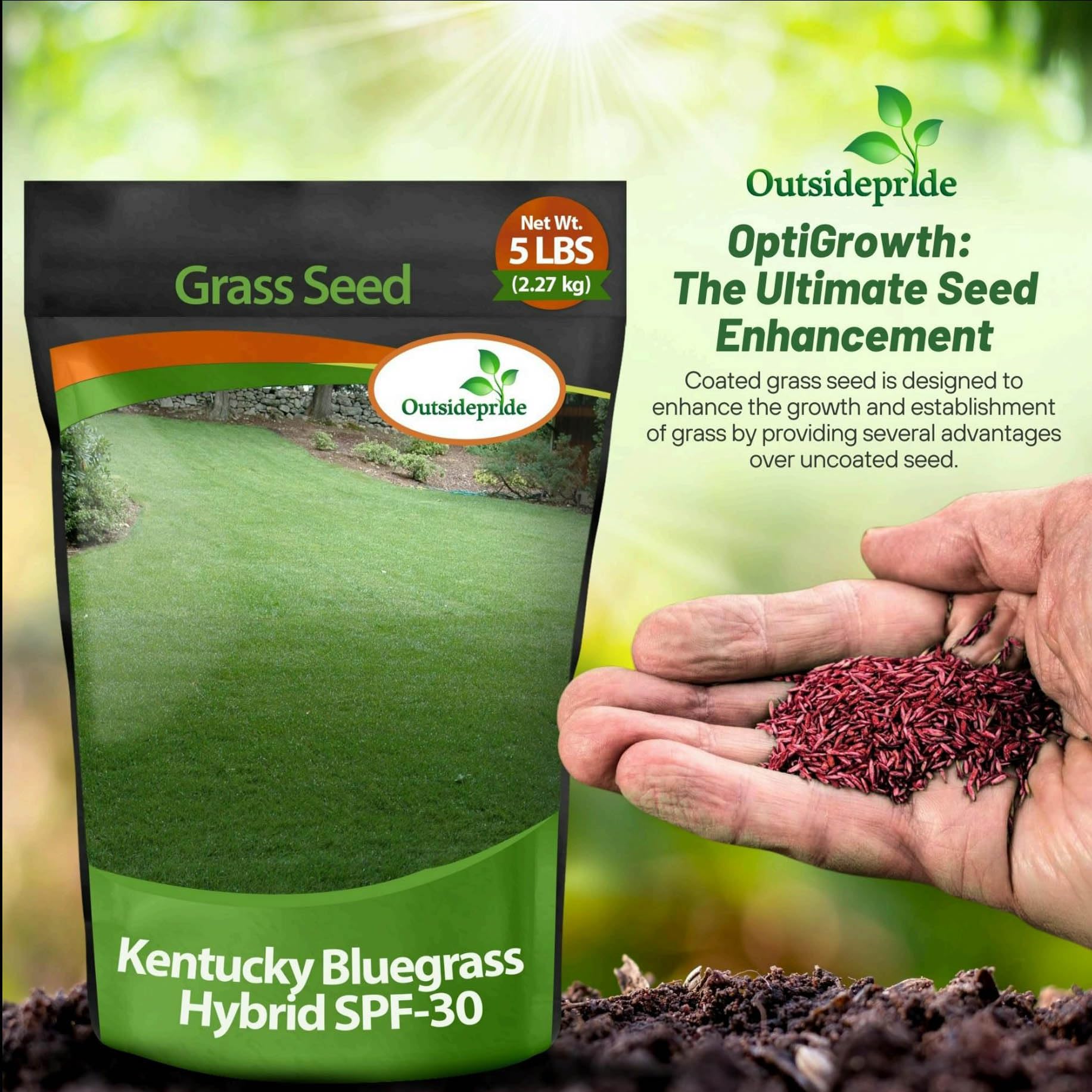 Outsidepride SPF-30 Hybrid Bluegrass Seeds - 5 lbs. Heat & Drought Tolerant, Texas Bluegrass & Kentucky Bluegrass Seed Mix for Challenging Climates, OptiGrowth Coated for Better Establishment