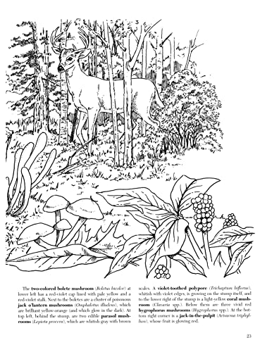 A Walk in the Woods (Dover Nature Coloring Book)
