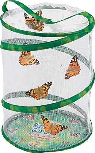 Insect Lore Butterfly Garden | 10 Live Baby Caterpillars | Habitat, STEM Journal, Chrys-A-Lids, Feeder | Raise and Release Painted Lady Butterflies