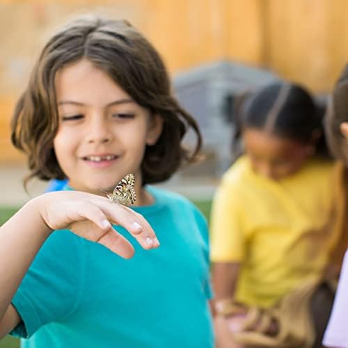 Insect Lore Butterfly Garden | 10 Live Baby Caterpillars | Habitat, STEM Journal, Chrys-A-Lids, Feeder | Raise and Release Painted Lady Butterflies
