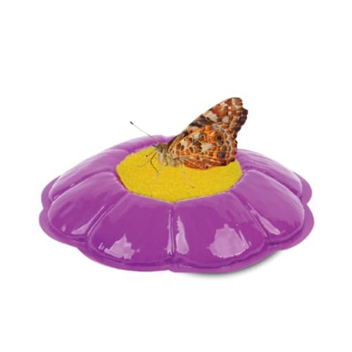 Insect Lore Butterfly Garden | 10 Live Baby Caterpillars | Habitat, STEM Journal, Chrys-A-Lids, Feeder | Raise and Release Painted Lady Butterflies