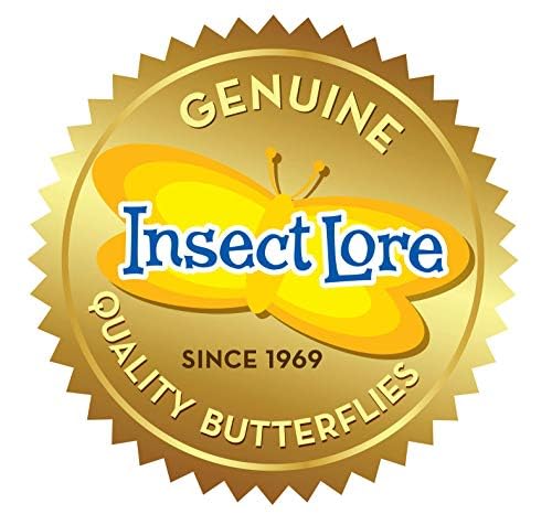 Insect Lore Butterfly Garden | 10 Live Baby Caterpillars | Habitat, STEM Journal, Chrys-A-Lids, Feeder | Raise and Release Painted Lady Butterflies