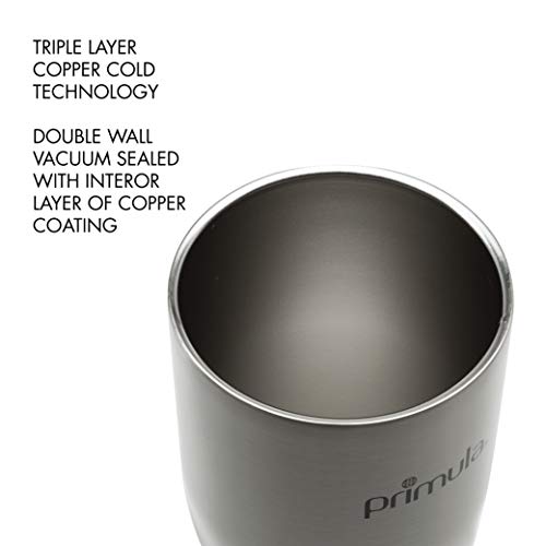 Primula Avalanche Double Walled Vacuum Sealed Thermal Insulated Tumbler Stays Cold or Hot All Day Long, Reusable Thermos, 1 Count (Pack of 1), Brushed Stainless Steel