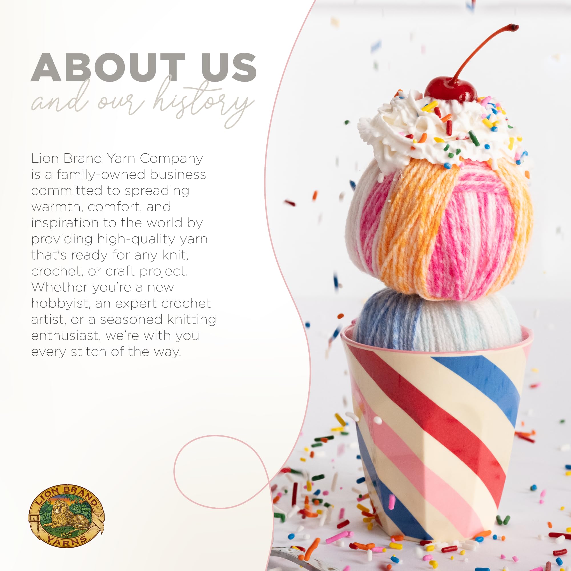 Lion Brand Yarn (1 Skein) Lion Brand Yarn Ice Cream Baby Yarn, Birthday Cake Multicolor