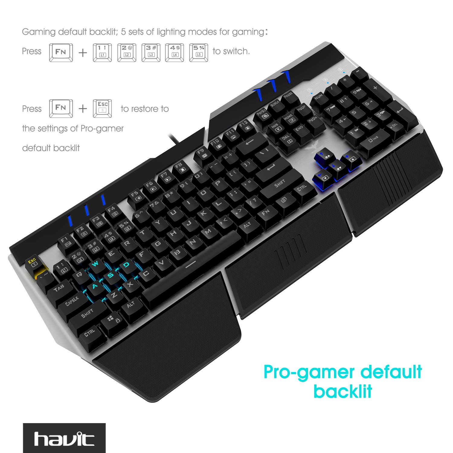 HAVIT RGB Backlit Wired Membrane Gaming Keyboard, Mechanical-Similar Typing/Gaming Experience (Black)