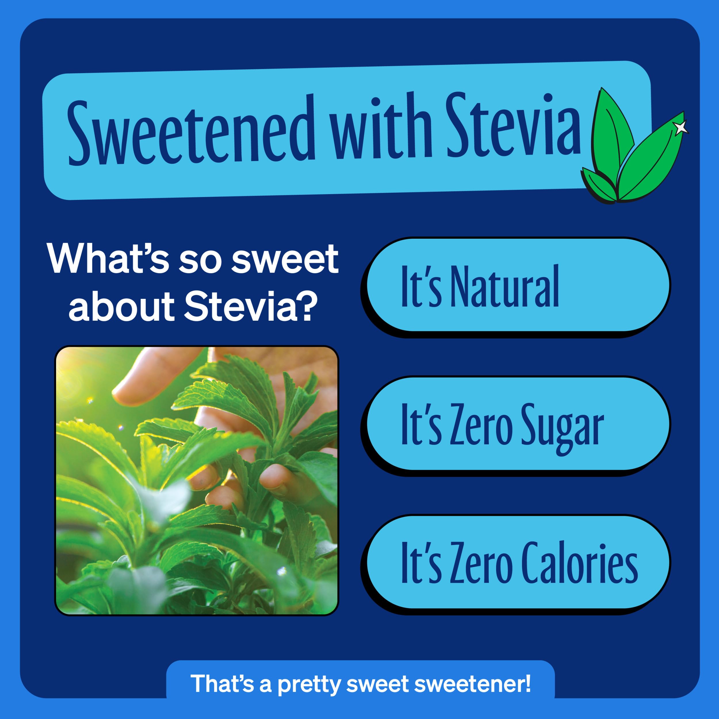 Zevia Zero Sugar Soda, Cola, 12 oz Cans (24-Pack) β Naturally Sweetened, Zero Calorie Sugar Free Soda - Non-GMO Project Verified, Gluten-Free, Vegan