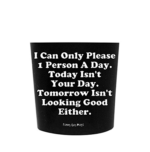 Funny Guy Mugs I Can Only Please 1 Person A Day Travel Tumbler With Removable Insulated Silicone Sleeve, Black, 16-Ounce