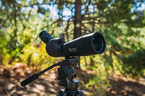 BARSKA unisex adult Blackhawk 20-60x60 Cases Barska AD11520 Black Hawk ED 20 60x60 Spotting Scope with Tripod and Carrying Cases, Black, One Size US