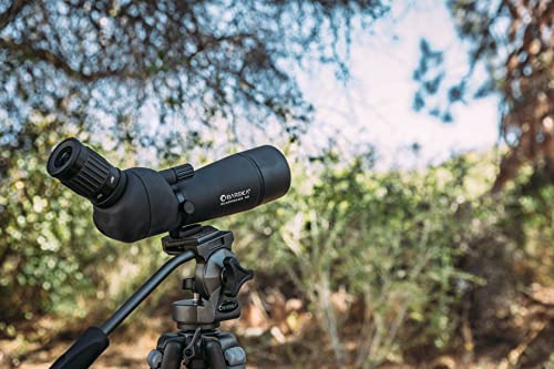 BARSKA unisex adult Blackhawk 20-60x60 Cases Barska AD11520 Black Hawk ED 20 60x60 Spotting Scope with Tripod and Carrying Cases, Black, One Size US