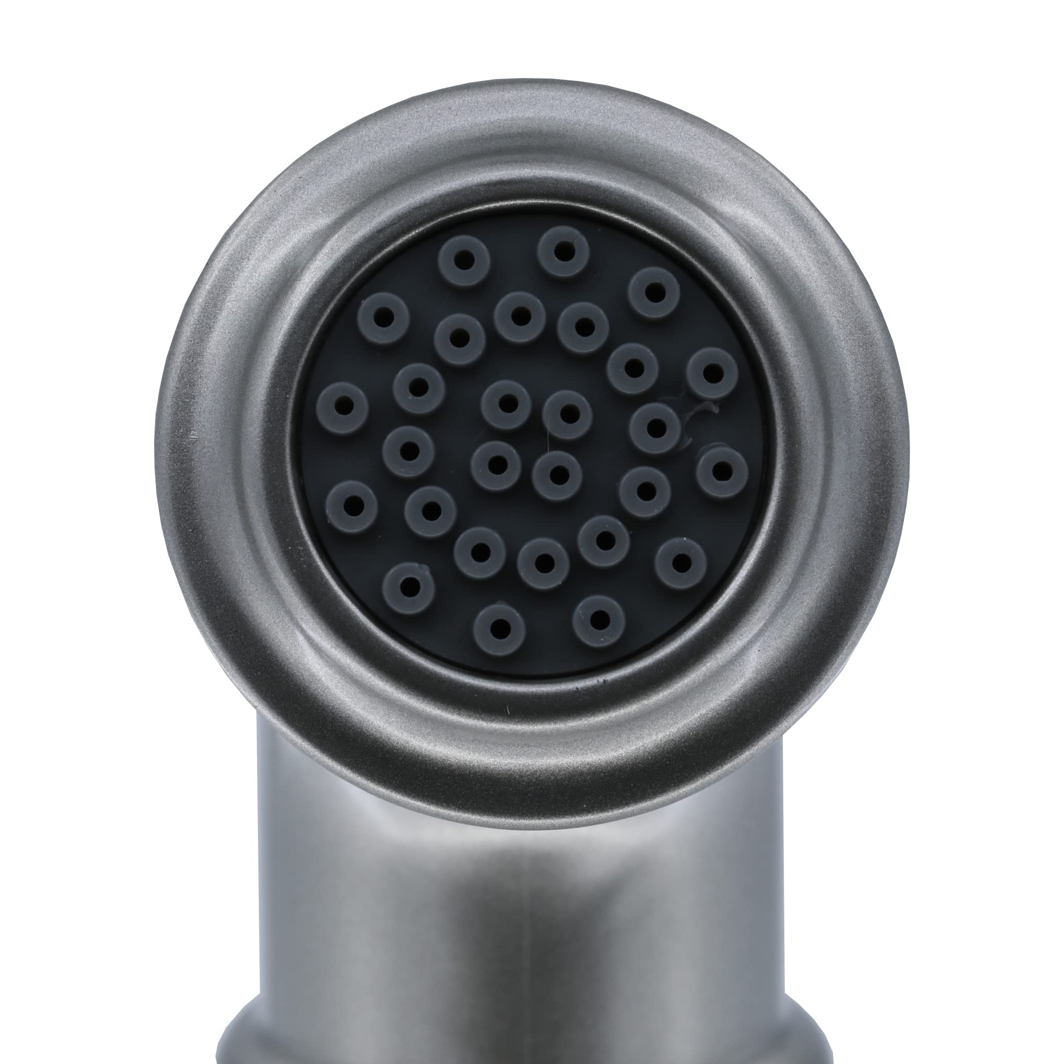 Danco, Brushed Nickel, Universal Decorative Side Spray and Hose, 1-Pack (89216), Pack of 1