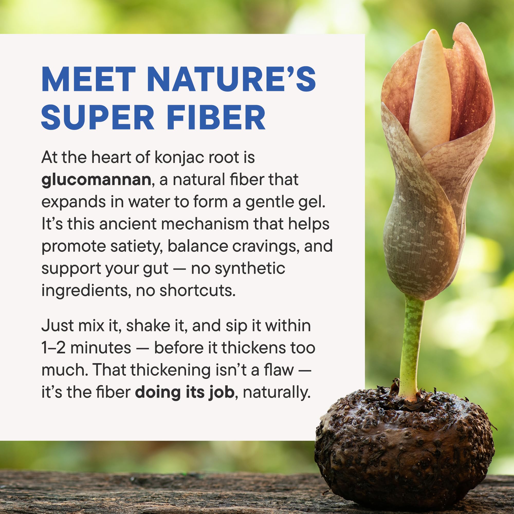 Daily Nouri FeelFull Prebiotic Fiber Drink Mix with Glucomannan & Chromium | for Natural Feeling of Fullness, Appetite & Cravings Support, Gut Microbiome & Metabolic Health | 30 Stick Packs