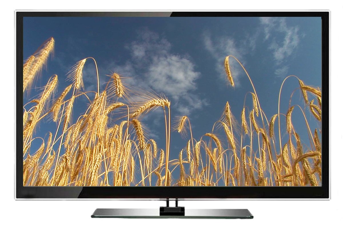Relaxing Music Nature DVD - Seasons: Spring & Summer