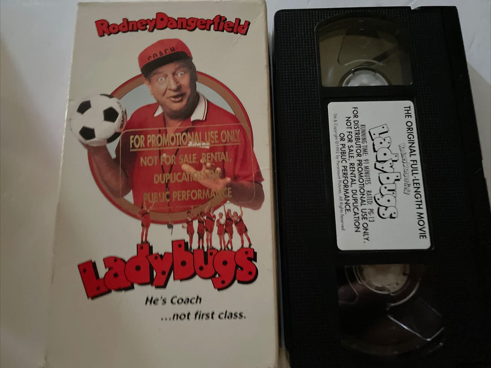 Ladybugs