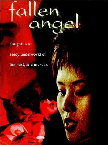 Fallen Angel [DVD]