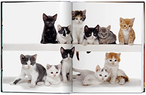 Cats: Photographs 1942 - 2018