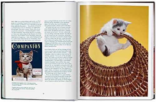 Cats: Photographs 1942 - 2018