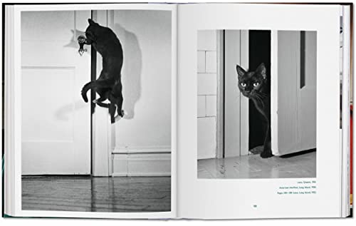 Cats: Photographs 1942 - 2018