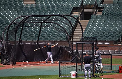 28: A Photographic Tribute to Buster Posey