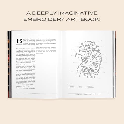 Stitchcraft: An Embroidery Book of Simple Stitches and Peculiar Patterns
