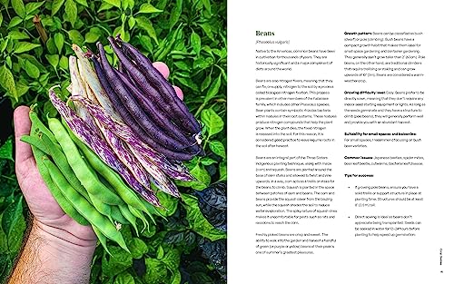 Seed to Table: A Seasonal Guide to Organically Growing, Cooking, and Preserving Food at Home (Kitchen Garden, Urban Gardening)