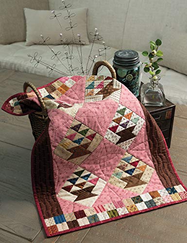 Schoolgirl Sampler: 72 Simple 4" Blocks and 7 Charming Quilts
