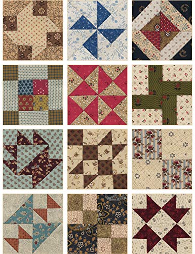 Schoolgirl Sampler: 72 Simple 4" Blocks and 7 Charming Quilts
