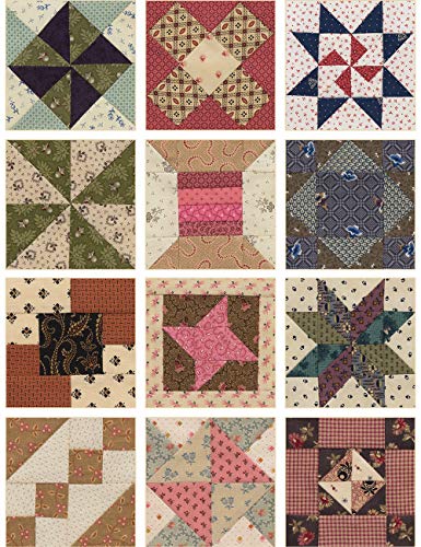 Schoolgirl Sampler: 72 Simple 4" Blocks and 7 Charming Quilts