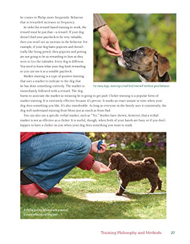 The Dog Behavior Problem Solver: Step-by-Step Positive Training Techniques to Correct More than 20 Problem Behaviors (CompanionHouse Books) Fix Barking, Separation Anxiety, Chewing, Begging, and More