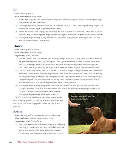 The Dog Behavior Problem Solver: Step-by-Step Positive Training Techniques to Correct More than 20 Problem Behaviors (CompanionHouse Books) Fix Barking, Separation Anxiety, Chewing, Begging, and More