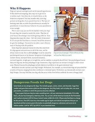 The Dog Behavior Problem Solver: Step-by-Step Positive Training Techniques to Correct More than 20 Problem Behaviors (CompanionHouse Books) Fix Barking, Separation Anxiety, Chewing, Begging, and More
