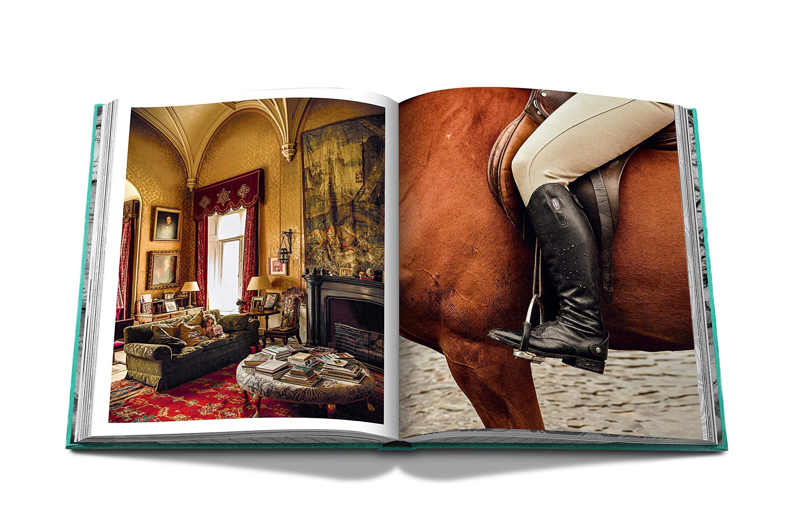 Chic Stays - Assouline Coffee Table Book