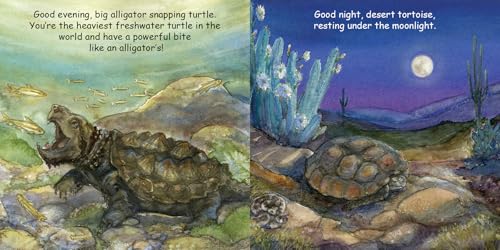 Good Night Turtles (Good Night Our World)