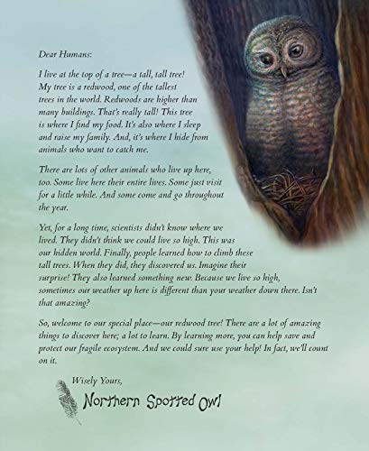 Tall Tall Tree: A Nature Book for Kids About Forest Habitats (A Rhyming Counting Book with STEAM Activities)