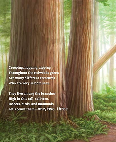 Tall Tall Tree: A Nature Book for Kids About Forest Habitats (A Rhyming Counting Book with STEAM Activities)