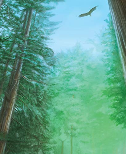 Tall Tall Tree: A Nature Book for Kids About Forest Habitats (A Rhyming Counting Book with STEAM Activities)