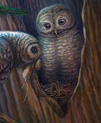 Tall Tall Tree: A Nature Book for Kids About Forest Habitats (A Rhyming Counting Book with STEAM Activities)