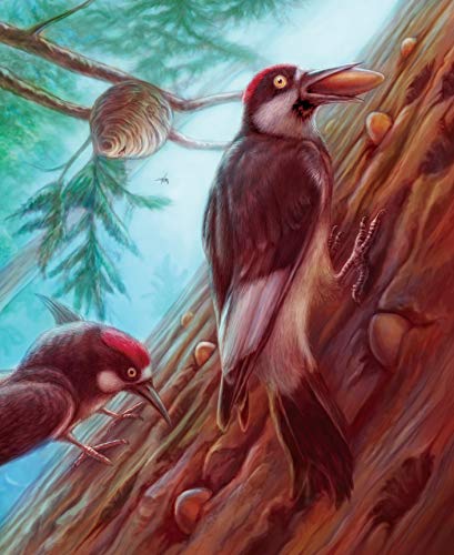 Tall Tall Tree: A Nature Book for Kids About Forest Habitats (A Rhyming Counting Book with STEAM Activities)
