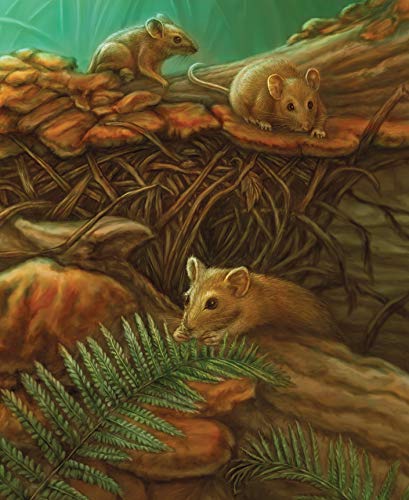 Tall Tall Tree: A Nature Book for Kids About Forest Habitats (A Rhyming Counting Book with STEAM Activities)