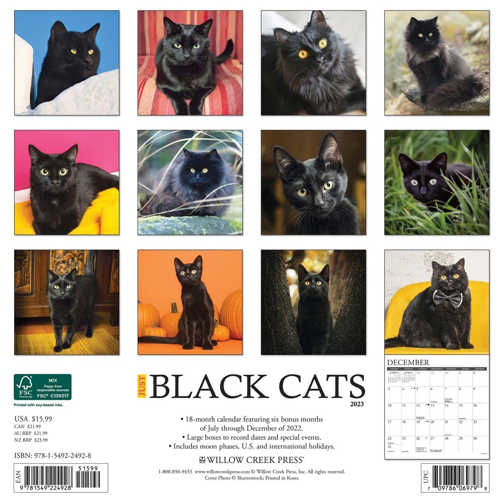 Just Black Cats 2023 Wall Calendar