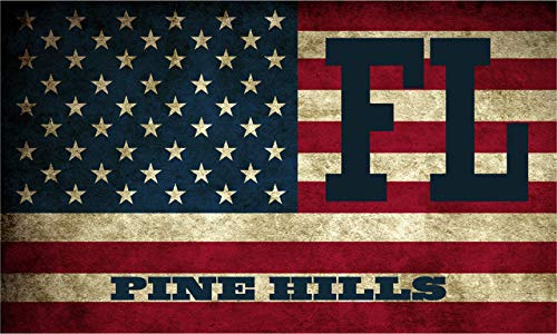 (x3) 2x3 inch Stickers | Reflective Pine Hills FL Florida Orange County Vintage US Flag Sticker Graphic - Construction Toolbox, Hardhat, Lunchbox, Helmet, Mechanic, Luggage