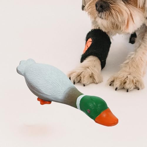 Ipetboom Dog Molar Plaything Squeaky Teething Toy Shaped Chewing Toy Funny Toy