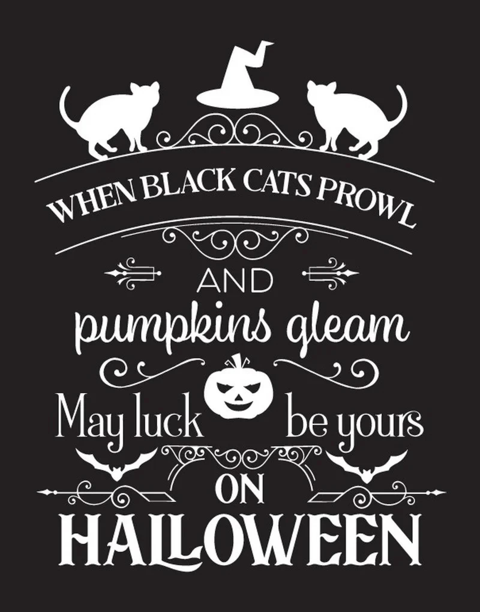 MANGOUSONG Screen Printing Kit,22x28cm Halloween Theme Mesh Screen Stencils Self-Adhesive Silk Screen Printing Stencil for Canvas Bag